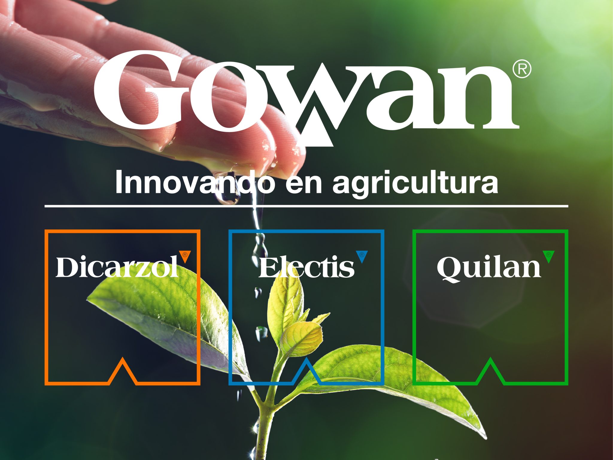 Gowan – Gowan Española Fitosanitarios S.L.