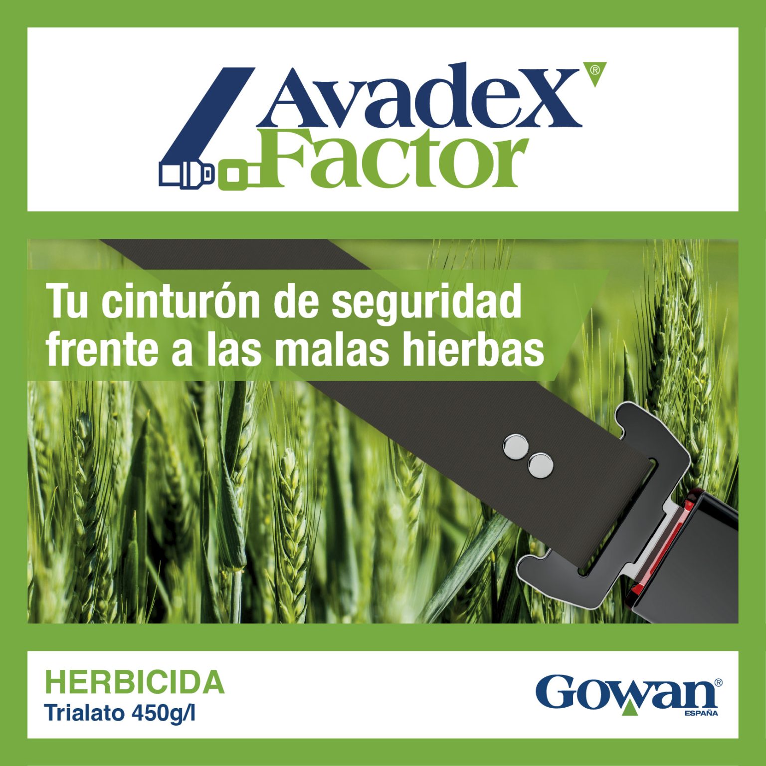 Avadex® Factor – Gowan